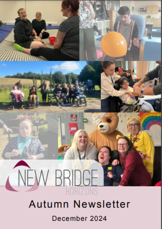 New Bridge Horizons - New Bridge Horizons Autumn Newsletter December 2024